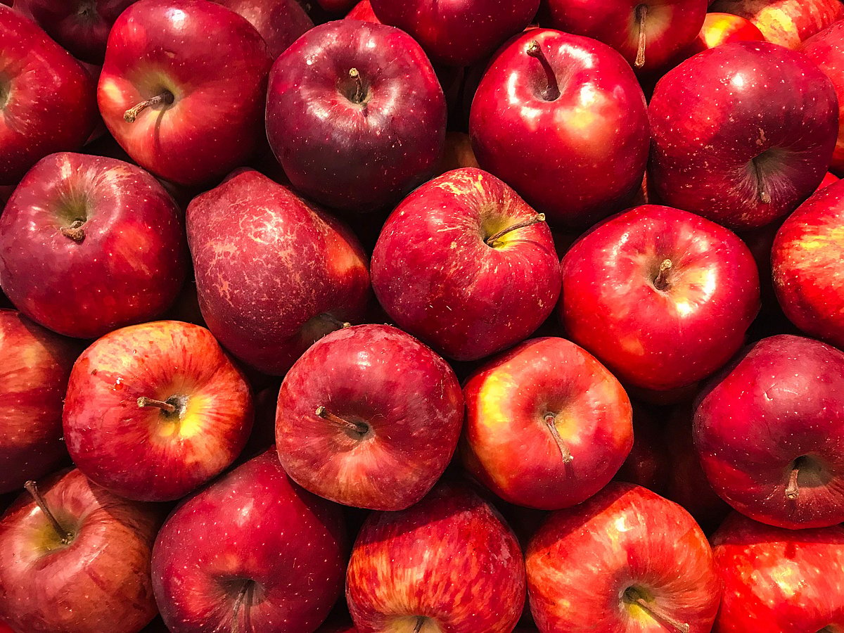 Bad weather, blight upsets Himachal's apple cart