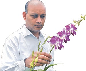 Chennai’s Largest Orchid Farm