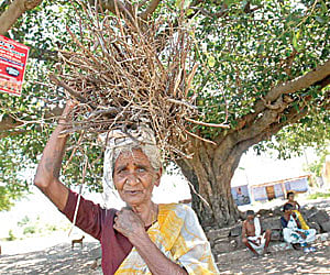 How justice was served on Vachathi