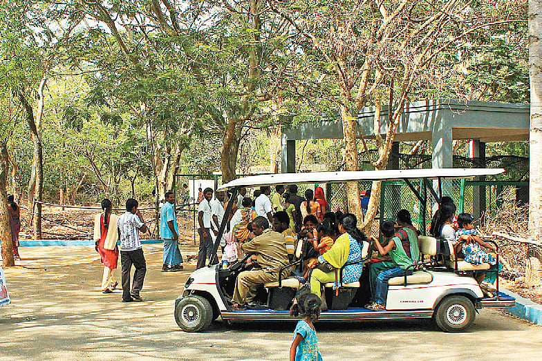 Part of Vandalur Zoo land to be used for GST road widening