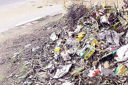 Rotting garbage the culprit here