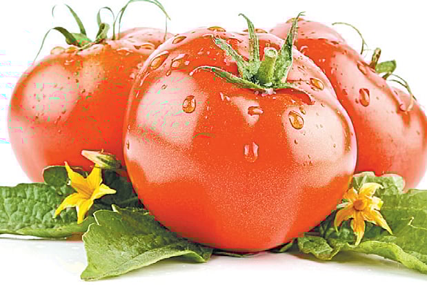 Fighting Cancer With Tomatoes
