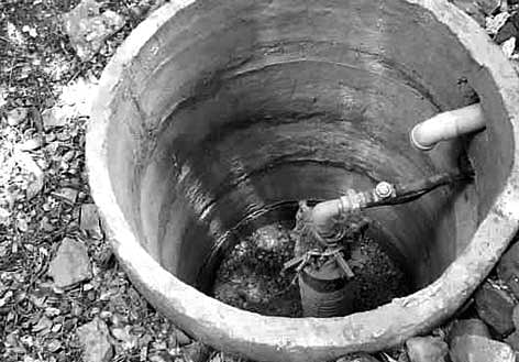 Dry Borewells Worry Thirsty Residents of Nelliampathy