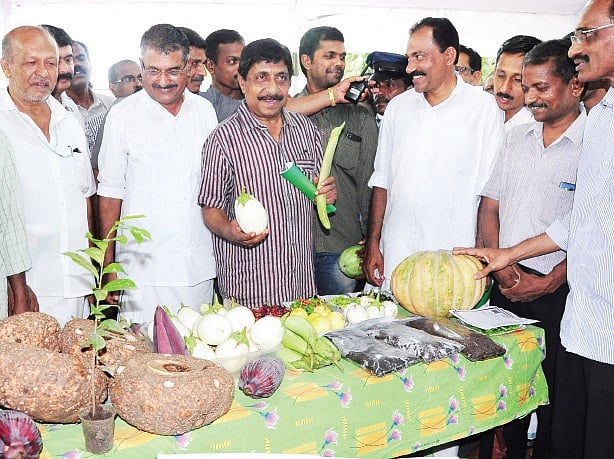 Prevent Cancer Through Healthy Lifestyle: Sreenivasan