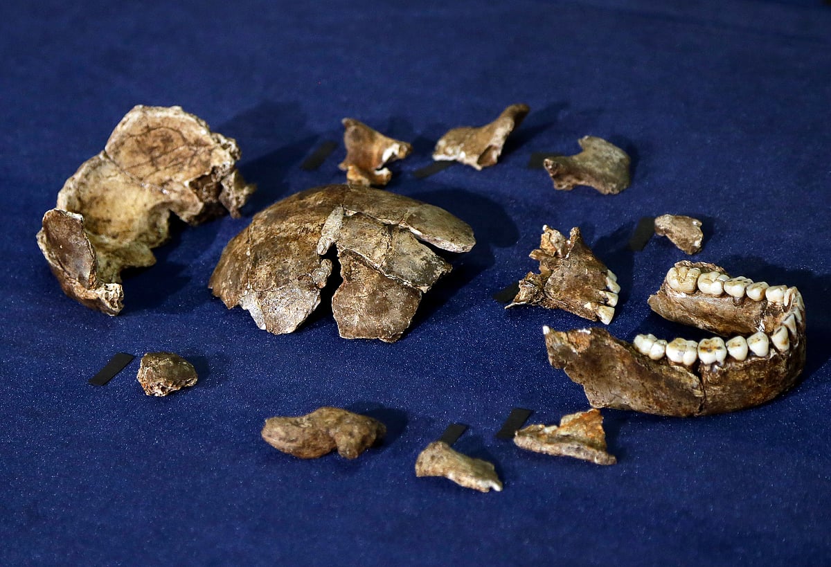 Remains of India’s only Homo Narmadensis in Ballari museum
