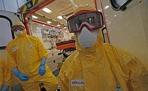 Ebola may have mutated to better infect humans: study