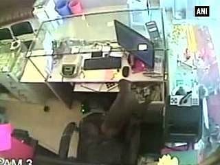 Monkey \'thief\' flees with Rs.10,000 from a Guntur jewellery shop