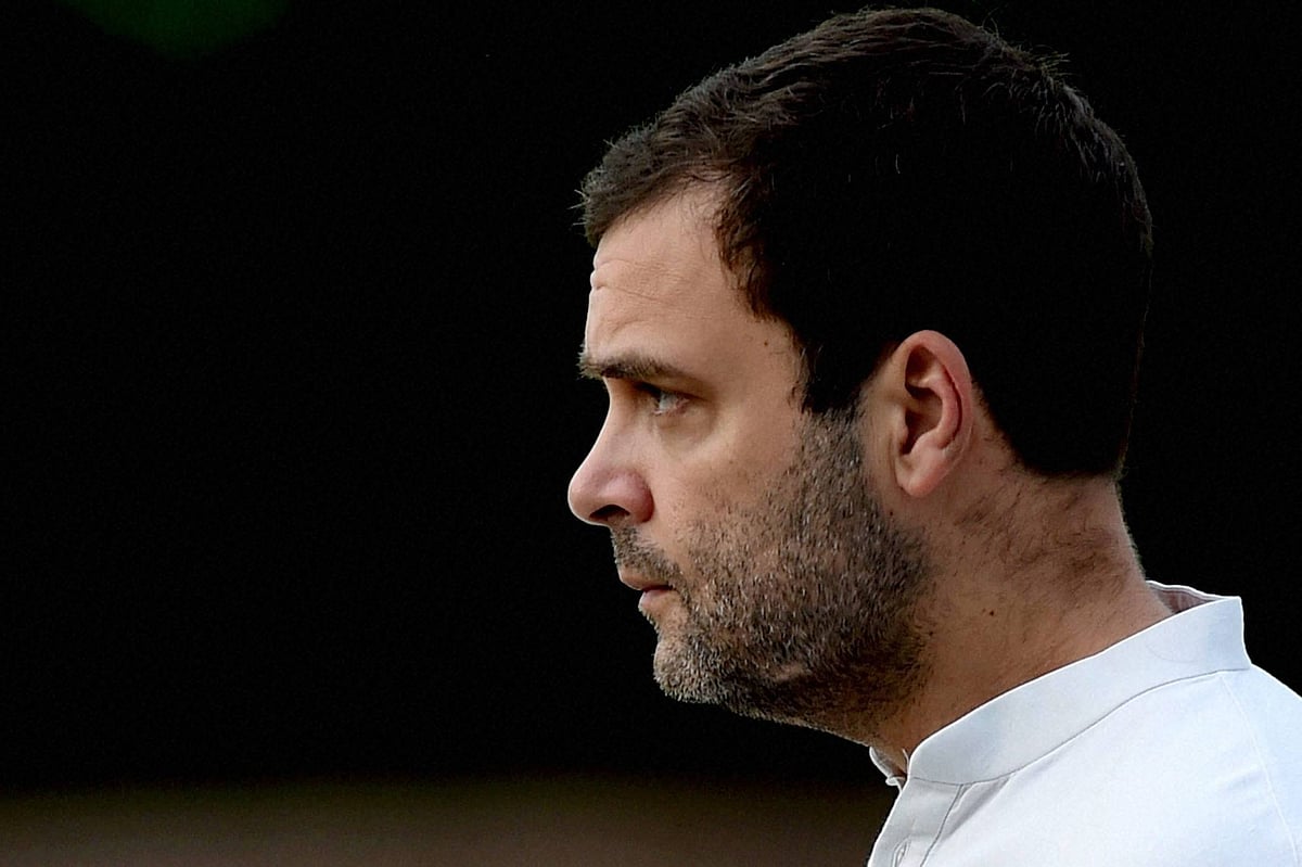 Rahul Gandhi bets on Pidilite Ind, Bajaj Finance, Asian paints stocks