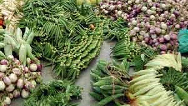 Veggies get an NOC to Europe