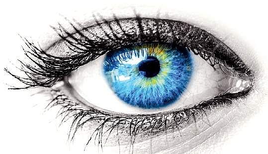 Awareness is the greatest agent for change