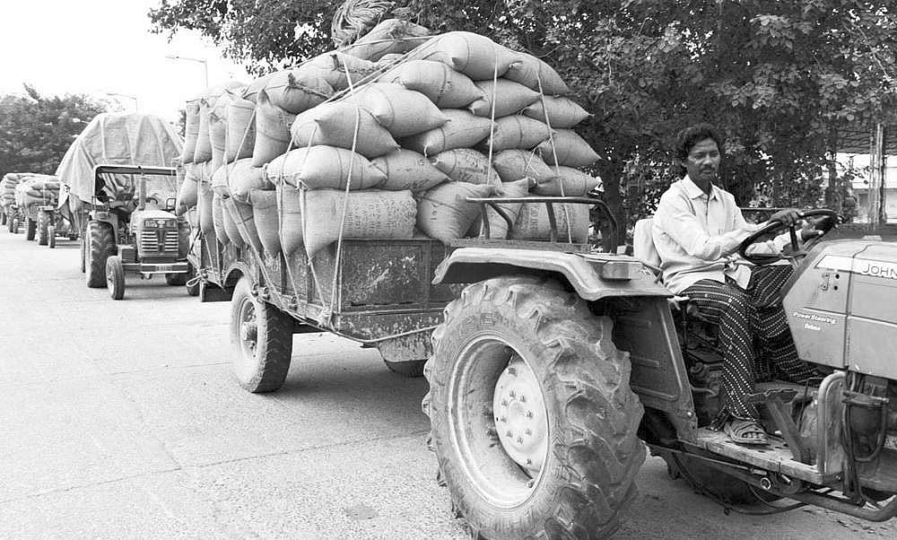 Paddy procurement begins in Sambalpur