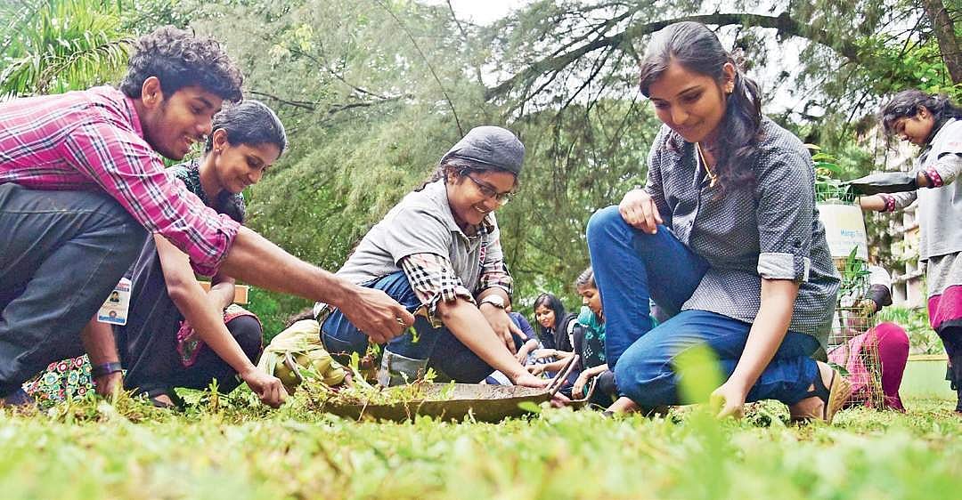 NSS volunteers give collectorate compound a facelift