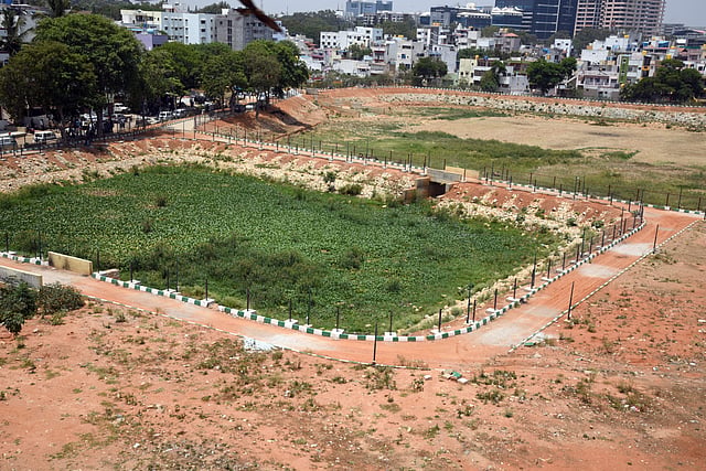 How a thriving water body in city died in less than two years