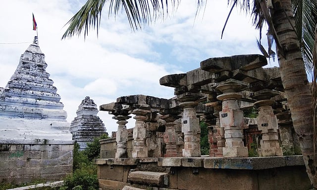 Ageless and amazing! Kolanupaka