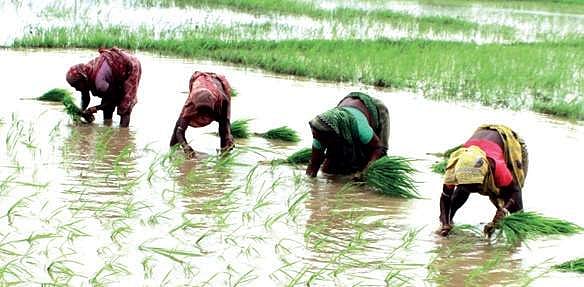 Farmers in state reaping benefits of ‘Bhoomee’ app