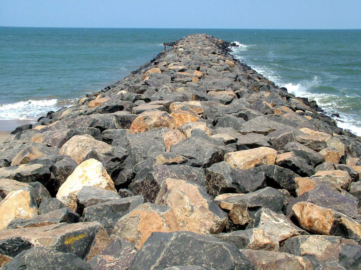 Tamil Nadu Fisheries department seeks Rs 1,220-crore aid to build ...