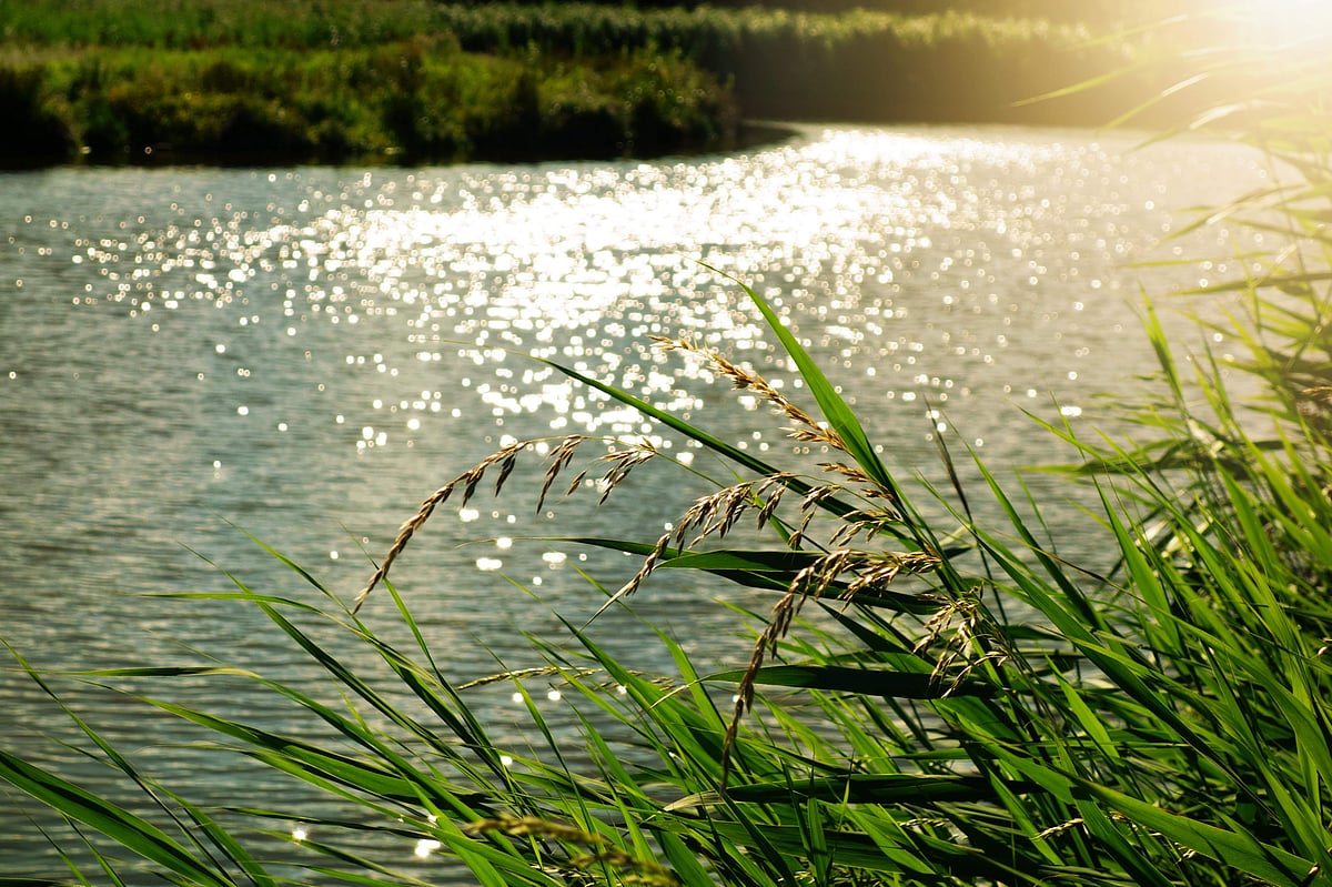 First river-linking project coming undone?
