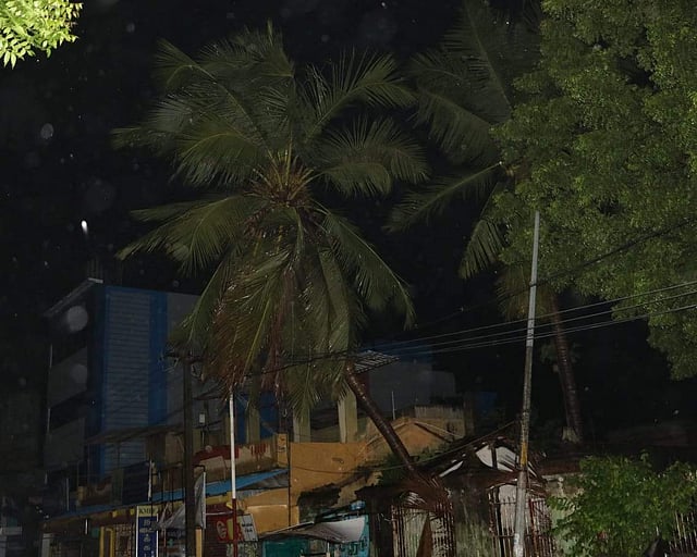 Cyclone Gaja: Food, fuel sold at premium prices in these TN districts ...