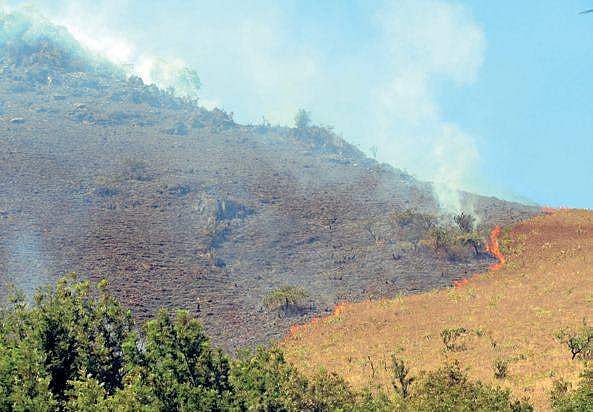 Fire breaks out on Chandra Drona hills
