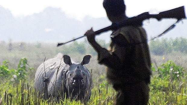 Two poachers held with leopard canine, lizard pelt in Anshi forest range
