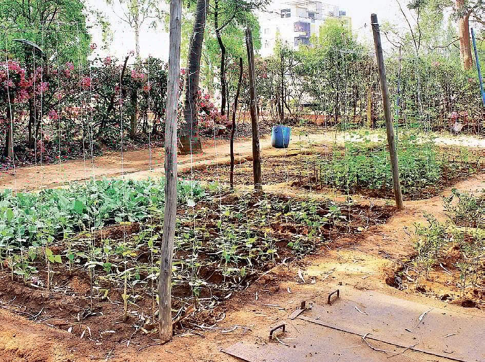 Smart Kitchen Garden to promote organic farming in Kerala