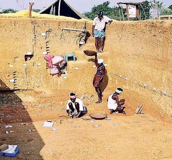 Human evolution is not linear