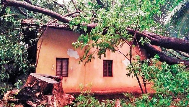 Heavy rain in Udupi; Trees uprooted in Udyavara area