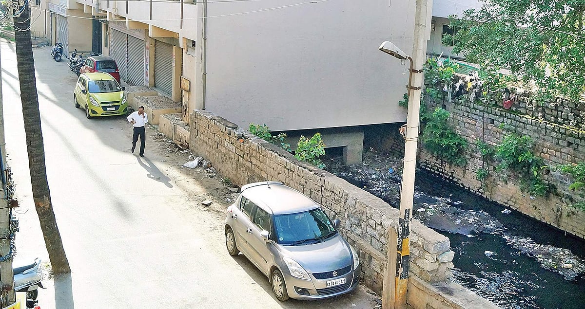 Bold squatters on SWDs face weak authority