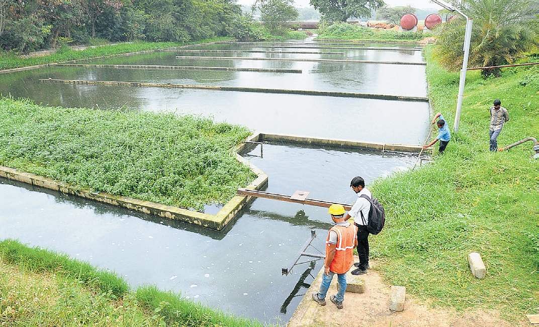 KC Valley: HC stalls pumping of treated water