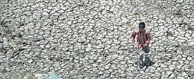 Barren lands to be converted into organic farms