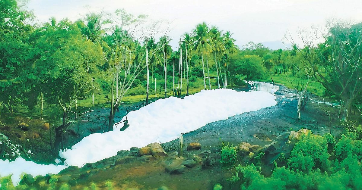 Hope rekindles for Bidadi lake