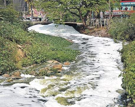 After Bellandur, Varthur lake to have marshals now