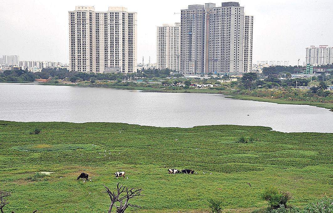 Authority proposes tiered buffer zones for lakes in Karnataka