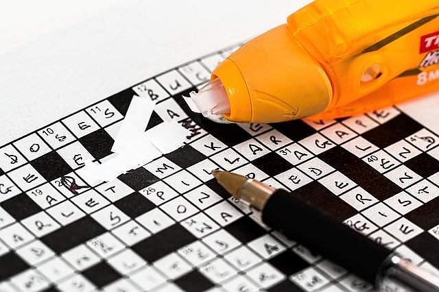 Delhi school wins national inter-school crossword competition
