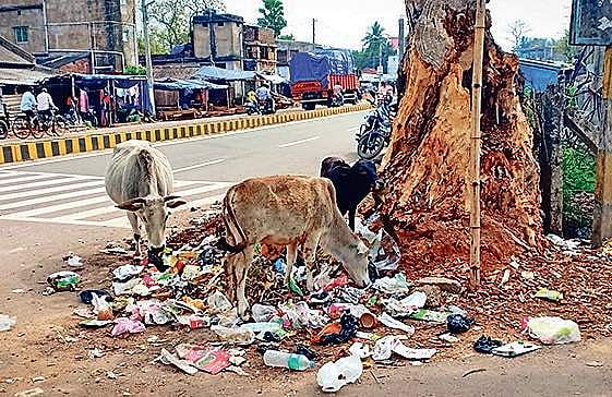 Heaps of garbage irk Baripada residents