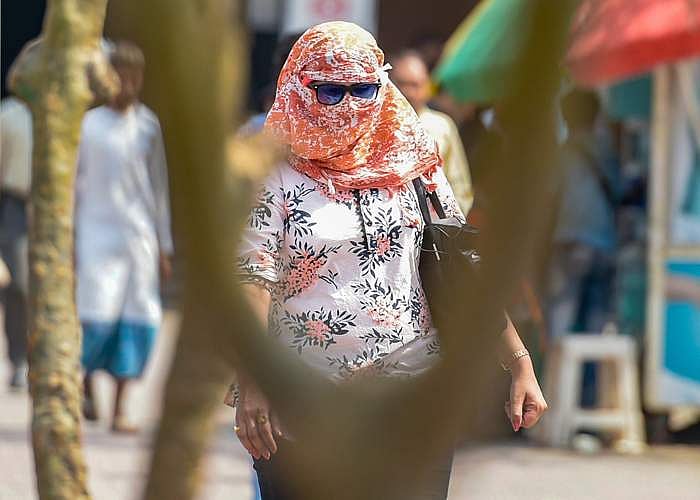 Andhra likely to experience harsh summer with mercury soaring to 48 ...
