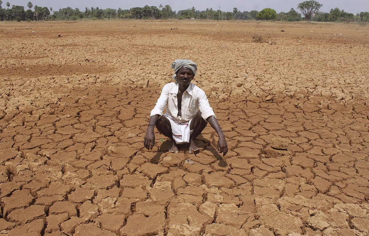 24 districts declared as drought-hit, number to rise in coming months