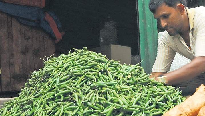 Chilli bomb: Soon hitting Rs100 a kg