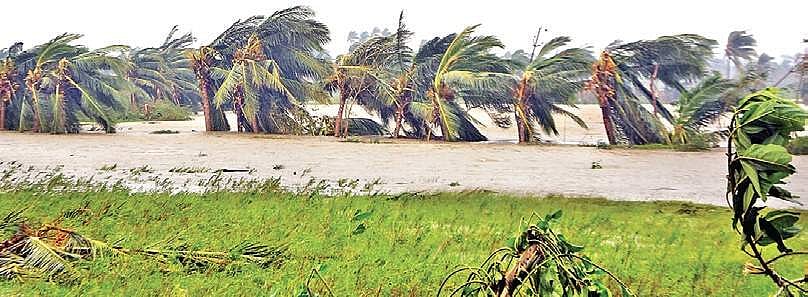 Growing up amid cyclones