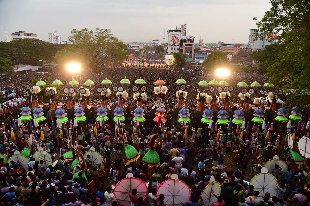 Miffed by ban on tusker, jumbo owners to boycott Thrissur Pooram
