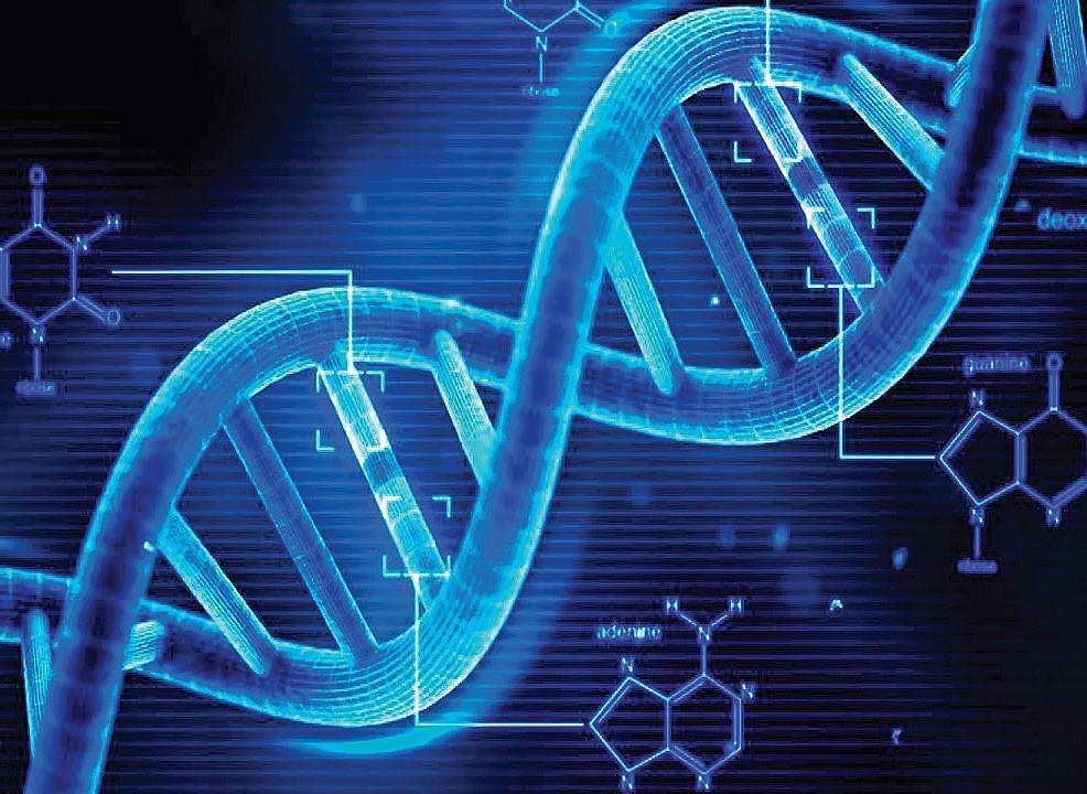 US man's decade-old-murder conviction overturned using DNA, family tree ...
