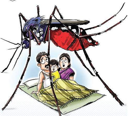 Sudden high fever? it can be Dengue