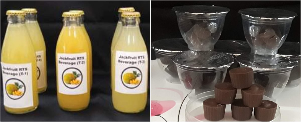 In a first, jackfruit juice, chocolate and cookies to hit stores