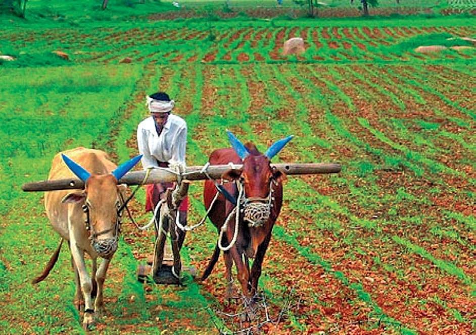 Telangana government enhances premium amount of Rythu Bima scheme