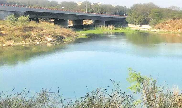 A wealth of biodiversity in Delhi's own backyard