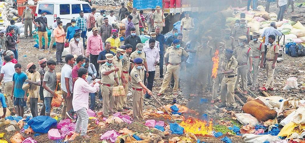 After court order, dry ganja worth Rs 15 crore destroyed at Kapuluppada