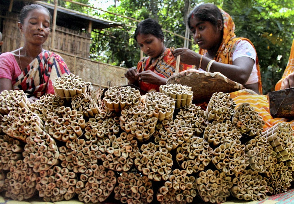 Tobacco ryots must plant 10 saplings for barn licence renewal