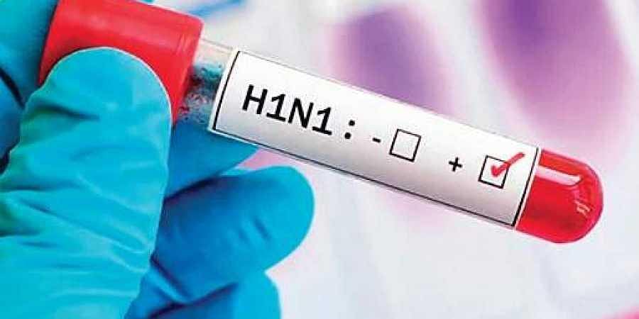 Five test positive for H1N1 in Kerala village; no worry, says government