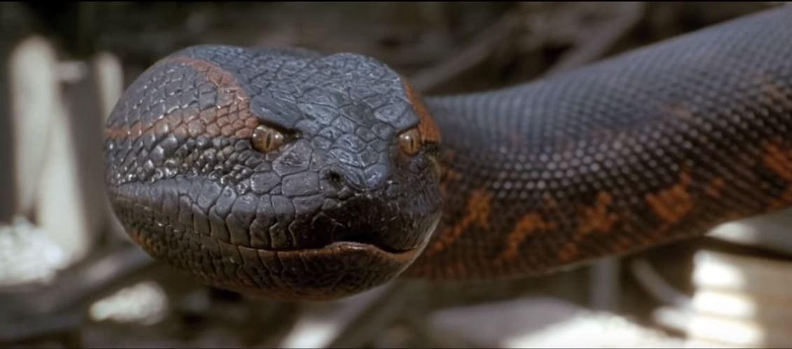 Sony rebooting 'Anaconda', Evan Daugherty on board as writer