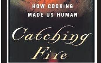 The Great Domestic Cooking Renaissance